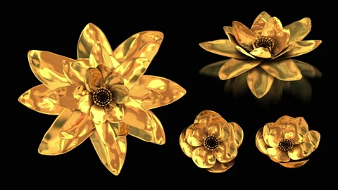 Flowers blossom isolated with alpha mask... | Stock Video | Pond5