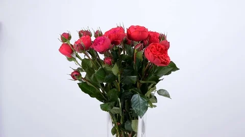 Flowers, bouquet, rotation on white back... | Stock Video | Pond5