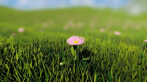 Flowers on Grass, 4K Animation, 3D Rende... | Stock Video | Pond5