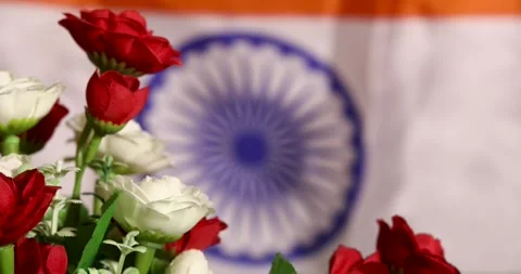 Indian Flag Flowers Stock Videos – Royalty-Free HD & 4K Videos | Pond5