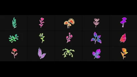 After Effects: Flowers Pack for After Effects #252165199