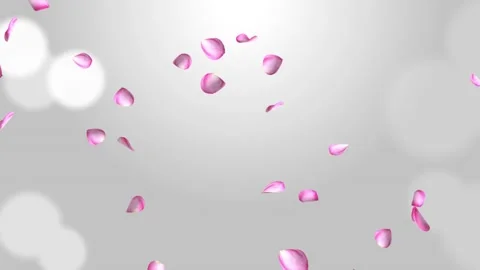 Flowers petals falling Loop background G... | Stock Video | Pond5