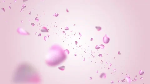 Flowers petals falling Loop background G... | Stock Video | Pond5