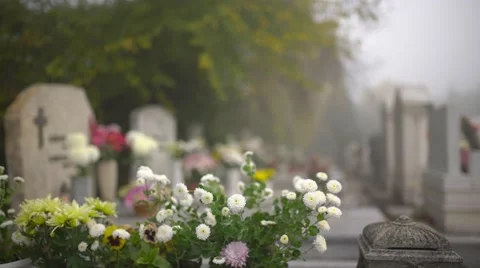 Death Click Com Stock Videos – Royalty-Free HD & 4K Videos