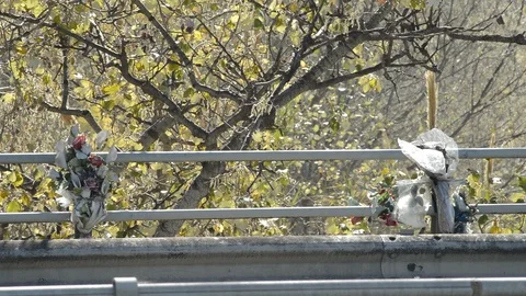 Road Safety Poictures Stock Videos – Royalty-Free HD & 4K Videos