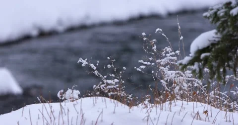 Dancing River Stock Videos – Royalty-Free HD & 4K Videos | Pond5