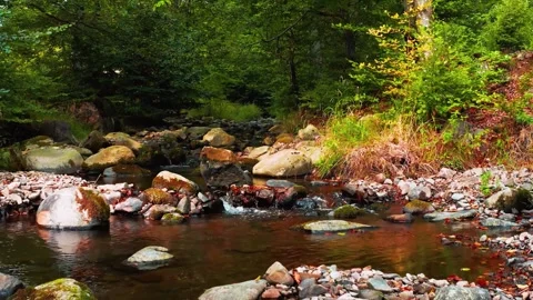 Flowing water from the river in an encha... | Stock Video | Pond5