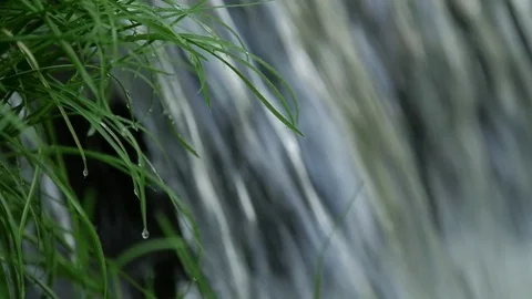 Flowing water splash on waterfall with g... | Stock Video | Pond5