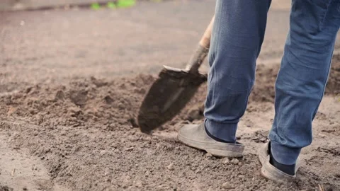 Fluffing Stock Videos – Royalty-Free HD & 4K Videos