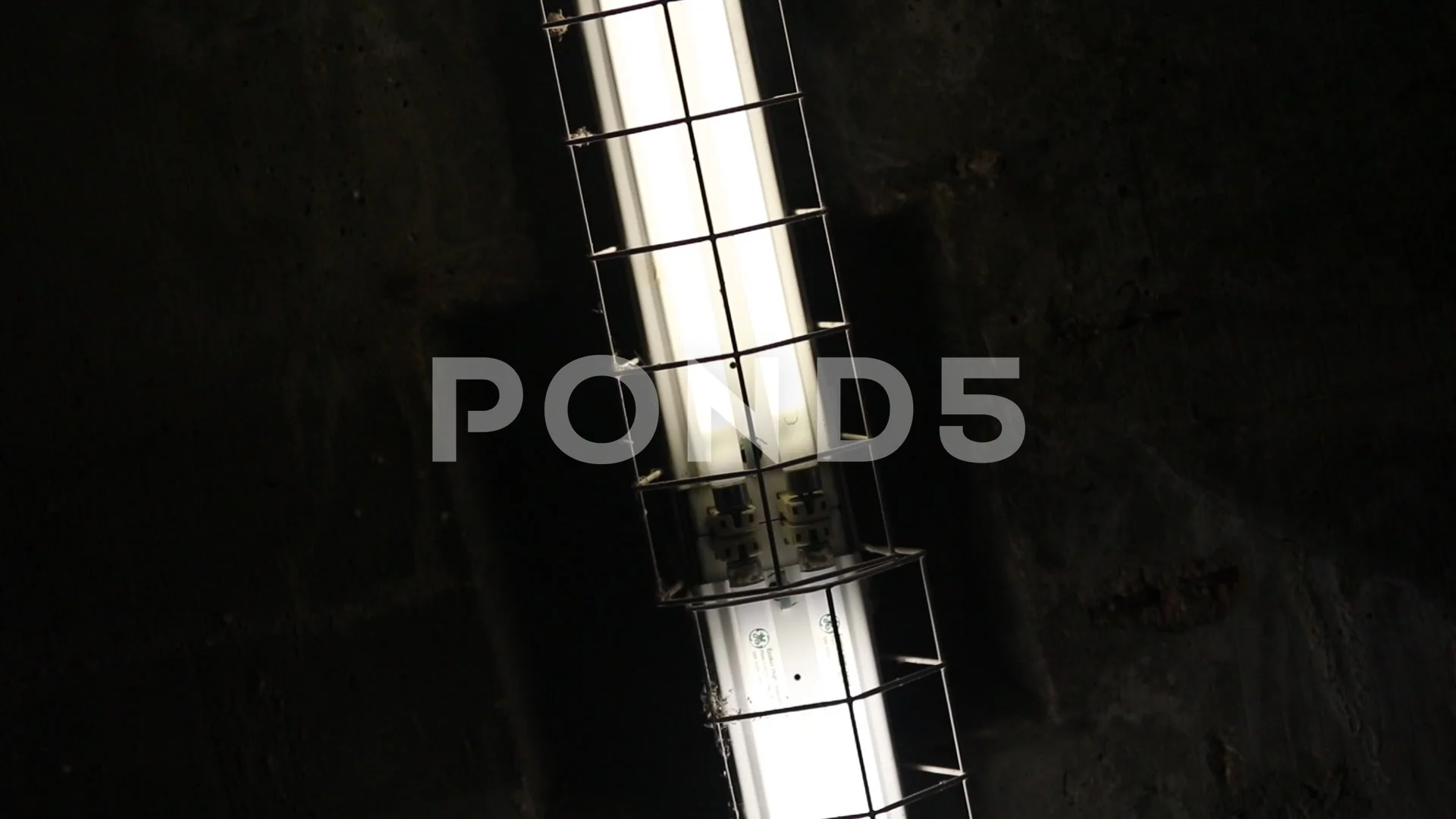 Frightprops Flickering Fluorescent Lights Strobe Lights, Black Lights,