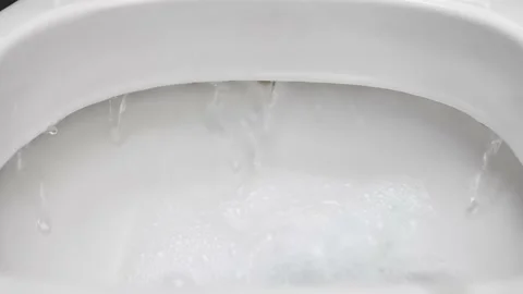 Flush Stock Video Footage | Royalty Free Flush Videos | Pond5