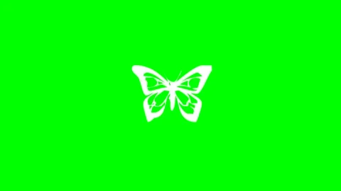 Fluttering butterfly green screen motio... | Stock Video | Pond5