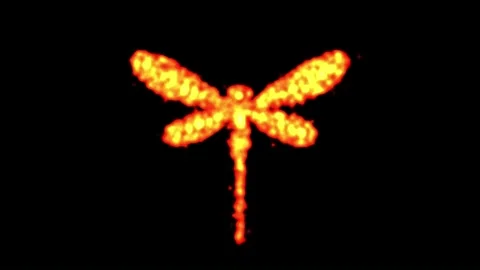 Dragonfly Smoke Stock Videos – Royalty-Free HD & 4K Videos | Pond5