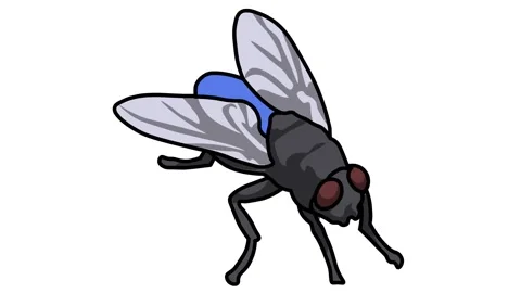 Animated Insect Stock Videos – Royalty-Free HD & 4K Videos