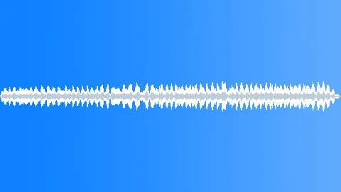 FLY - FLY BUZZING AROUND, ANIMAL, INSECT ~ Sound Effect #167769308