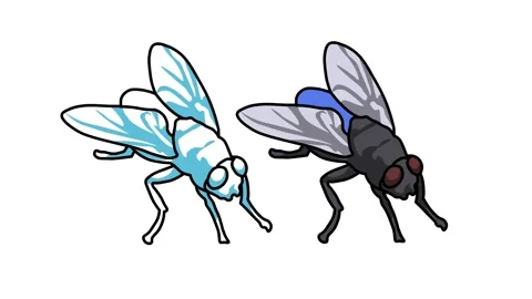 Animated Insect Stock Video Footage | Royalty Free Animated Insect ...