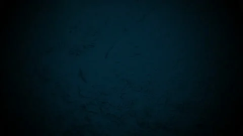 Fly particles and light effect on grunge... | Stock Video | Pond5