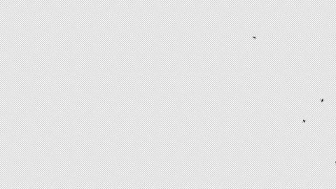 Flyes Flying VFX Element 3D Animation wi... | Stock Video | Pond5