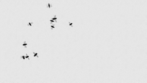 Flyes Flying VFX Element 3D Animation wi... | Stock Video | Pond5