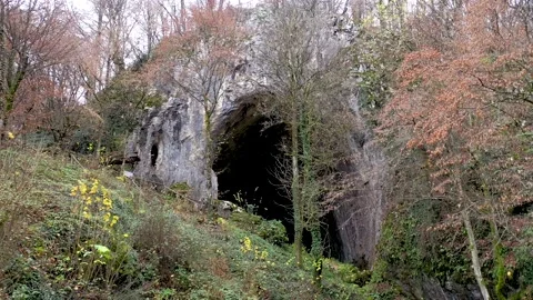 Flying above a monumental cave entrance ... | Stock Video | Pond5