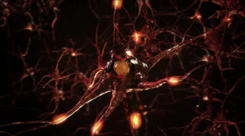 One Pass\ Stock Videos – Royalty-Free HD & 4K Videos