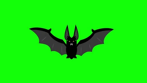 Flying bat on green screen 2D animation ... | Stock Video | Pond5