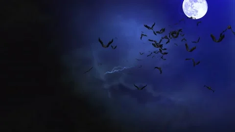 Bats Flying Green Screen Stock Video Footage | Royalty Free Bats Flying ...