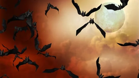 Flying Bats animation on green screen. f... | Stock Video | Pond5