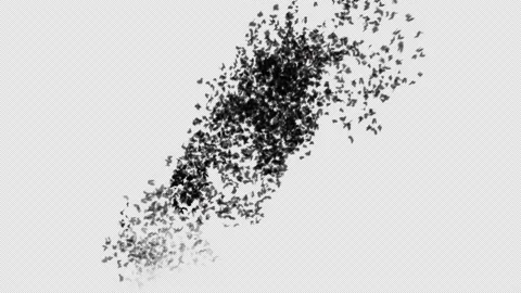 FLYING BATS - BAT TORNADO WIDESHOT ANIMA... | Stock Video | Pond5