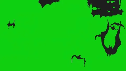 Flying bats on a green screen | Stock Video | Pond5