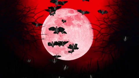 Flying Bats Halloween Bats on Moon Night... | Stock Video | Pond5
