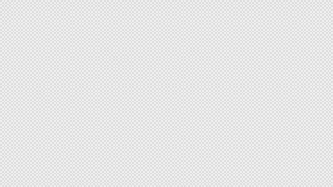 Bat Flying Motion Stock Videos – Royalty-Free HD & 4K Videos | Page 5