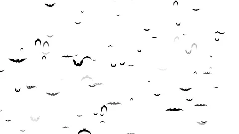 Flying bats on a white background animat... | Stock Video | Pond5