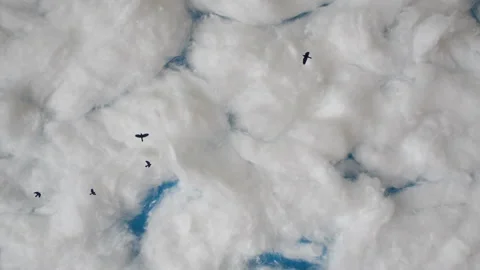 Cotton Flying Stock Videos – Royalty-Free HD & 4K Videos
