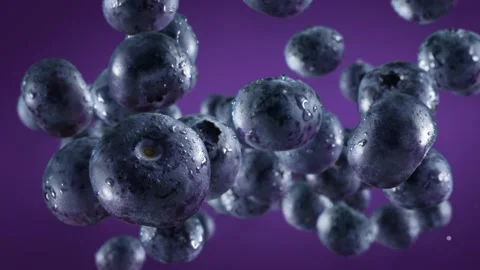 Flying of Blueberries in Purple Backgrou... | Stock Video | Pond5