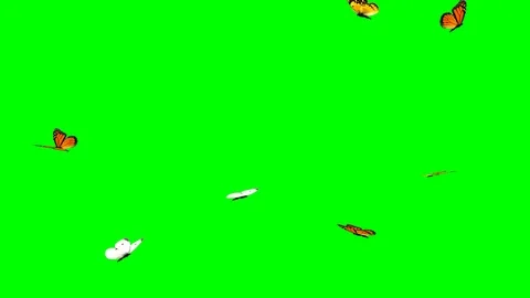 Flying butterflies motion graphics with ... | Stock Video | Pond5