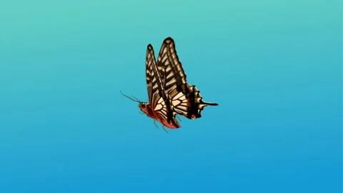 flying butterfly background and 2d anima... | Stock Video | Pond5