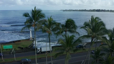 flying clockwise around palm trees with ... | Stock Video | Pond5