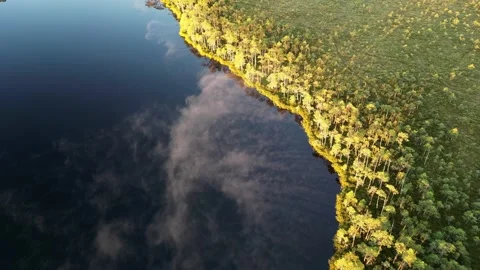 Border Land Stock Videos – Royalty-Free HD & 4K Videos | Pond5