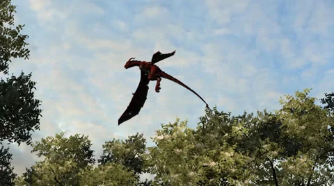 Wyvern Stock Videos – Royalty-Free HD & 4K Videos | Pond5