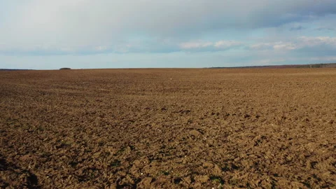 Beautiful Big Breas Stock Footage ~ Royalty Free Stock Videos | Pond5