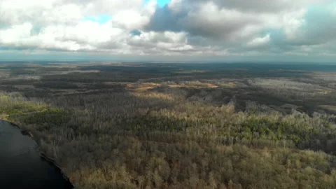 Cast Under Stock Videos – Royalty-Free HD & 4K Videos