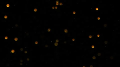 Flying dust particles overlay rain overl... | Stock Video | Pond5