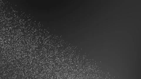 Flying Fine Particles Gradation Animatio... | Stock Video | Pond5