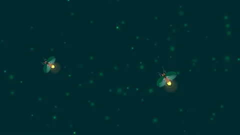 Flying firefly insects animation on spar... | Stock Video | Pond5