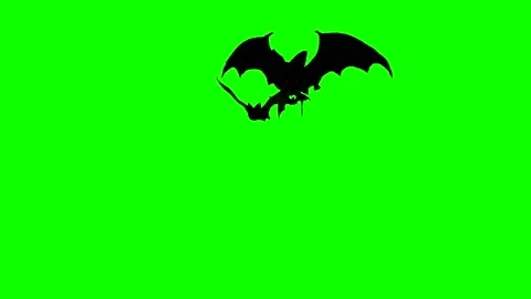 Greenscreen Bats Stock Video Footage | Royalty Free Greenscreen Bats ...