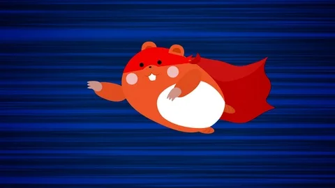 Hamster Stock Video Footage | Royalty Free Hamster Videos | Pond5