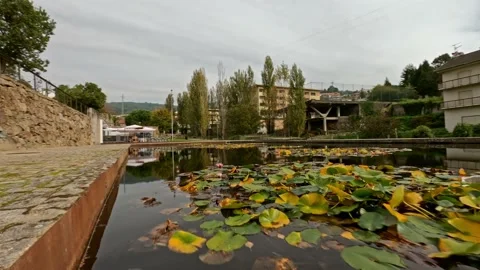 Flying head-on and sideways over pond wi... | Stock Video | Pond5