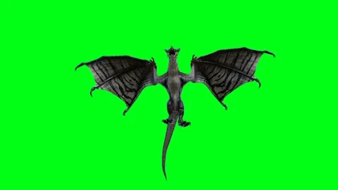 Dragon Greenscreen Stock Video Footage | Royalty Free Dragon ...