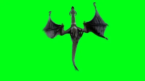 flying horror dragon. Fantasy concept. 4... | Stock Video | Pond5